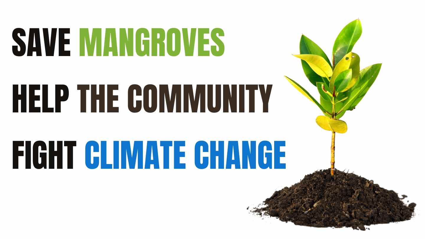 Save Mangroves | Help The Community | Fight Climate Change | Manglares ...